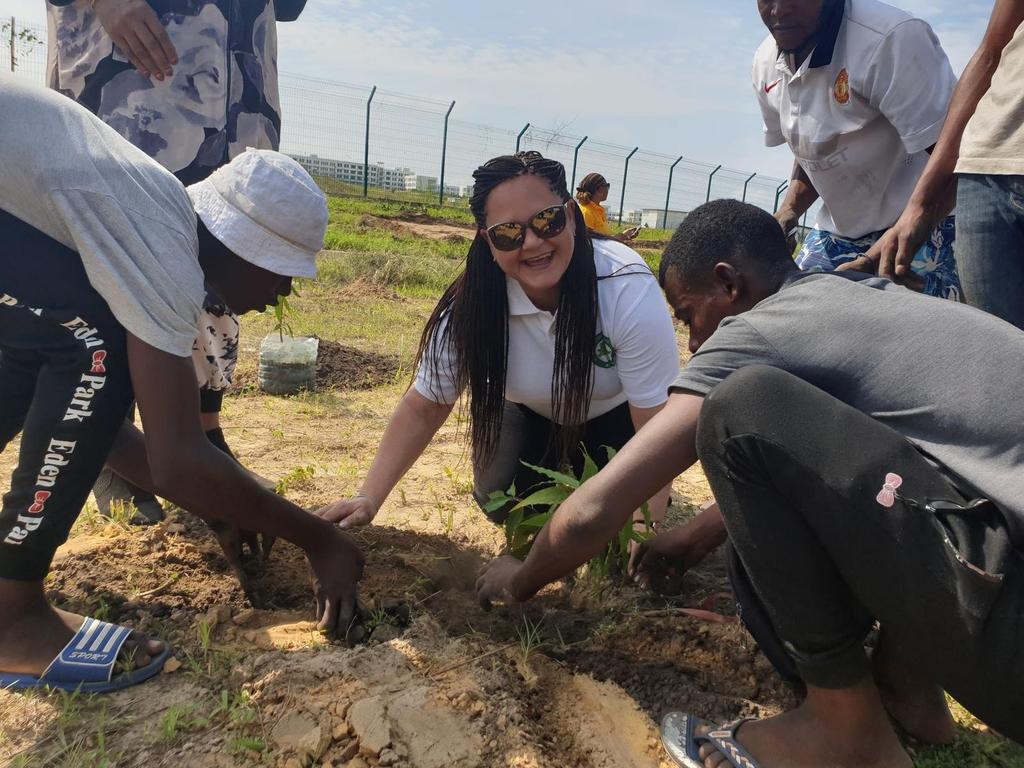 National tree planting day in Congo-Brazzaville / Current news ...